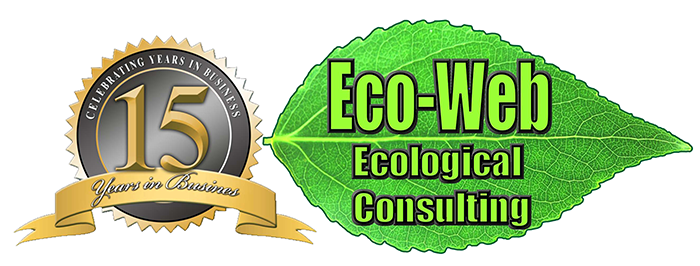 Eco-Web Ecological Consulting Ltd - Fort St John, BC | COSSD